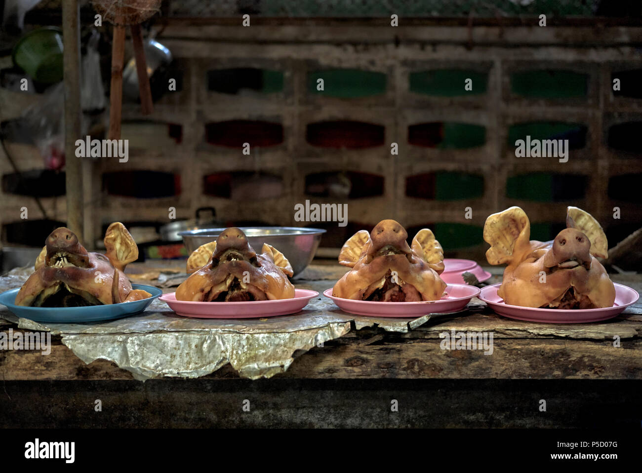 Southeast Asian Pigs High Resolution Stock Photography and Images - Alamy