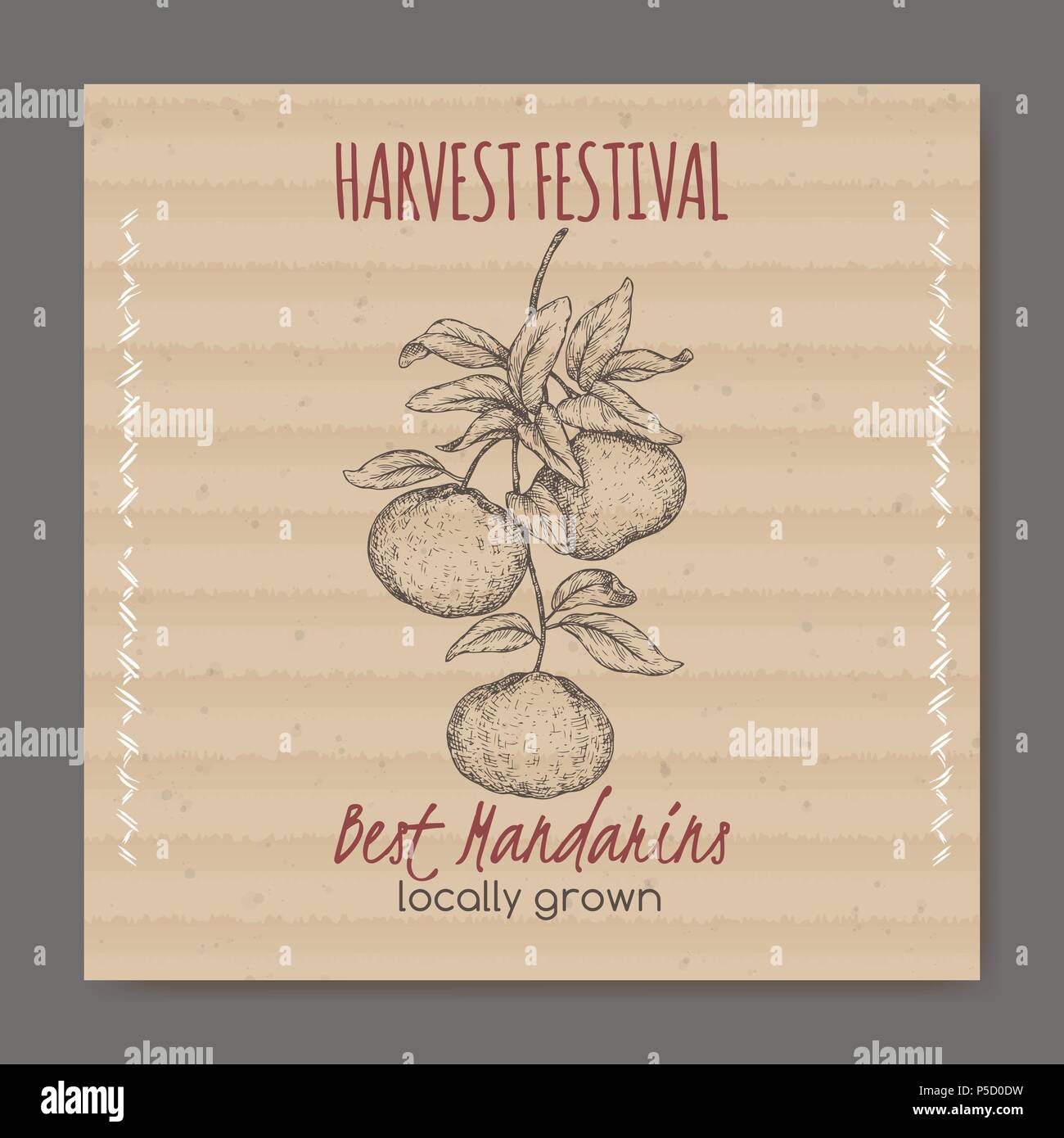 Vintage harvest festival label with mandarin branch Stock Vector Image ...