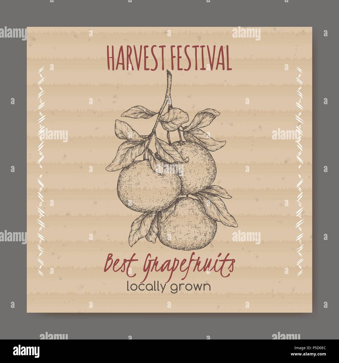Vintage harvest festival label with grapefruit branch Stock Vector ...