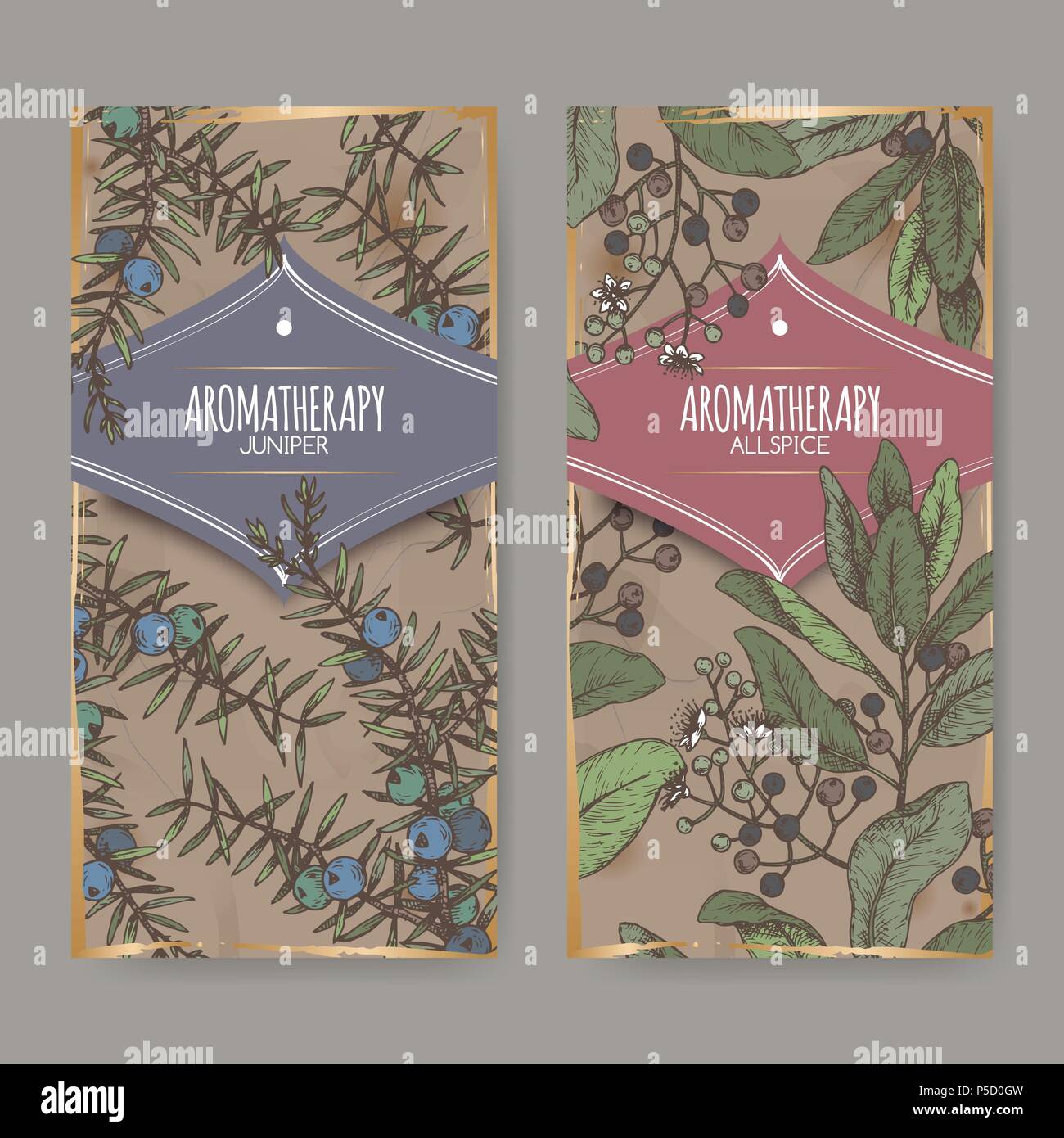 Two color labels with Juniperus communis aka juniper and Pimenta dioica ...