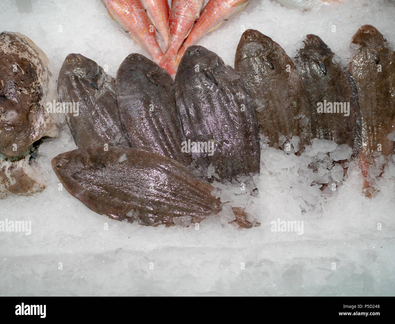 Frozen dark gray fishes on the market Stock Photo - Alamy