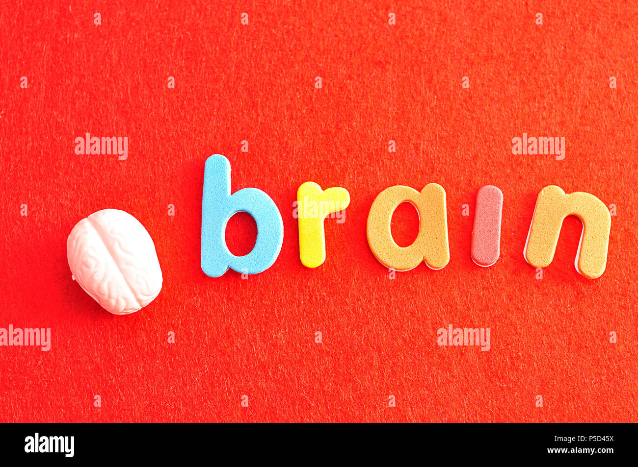 A plastic model of a human brain with the word brain isolated on a red ...