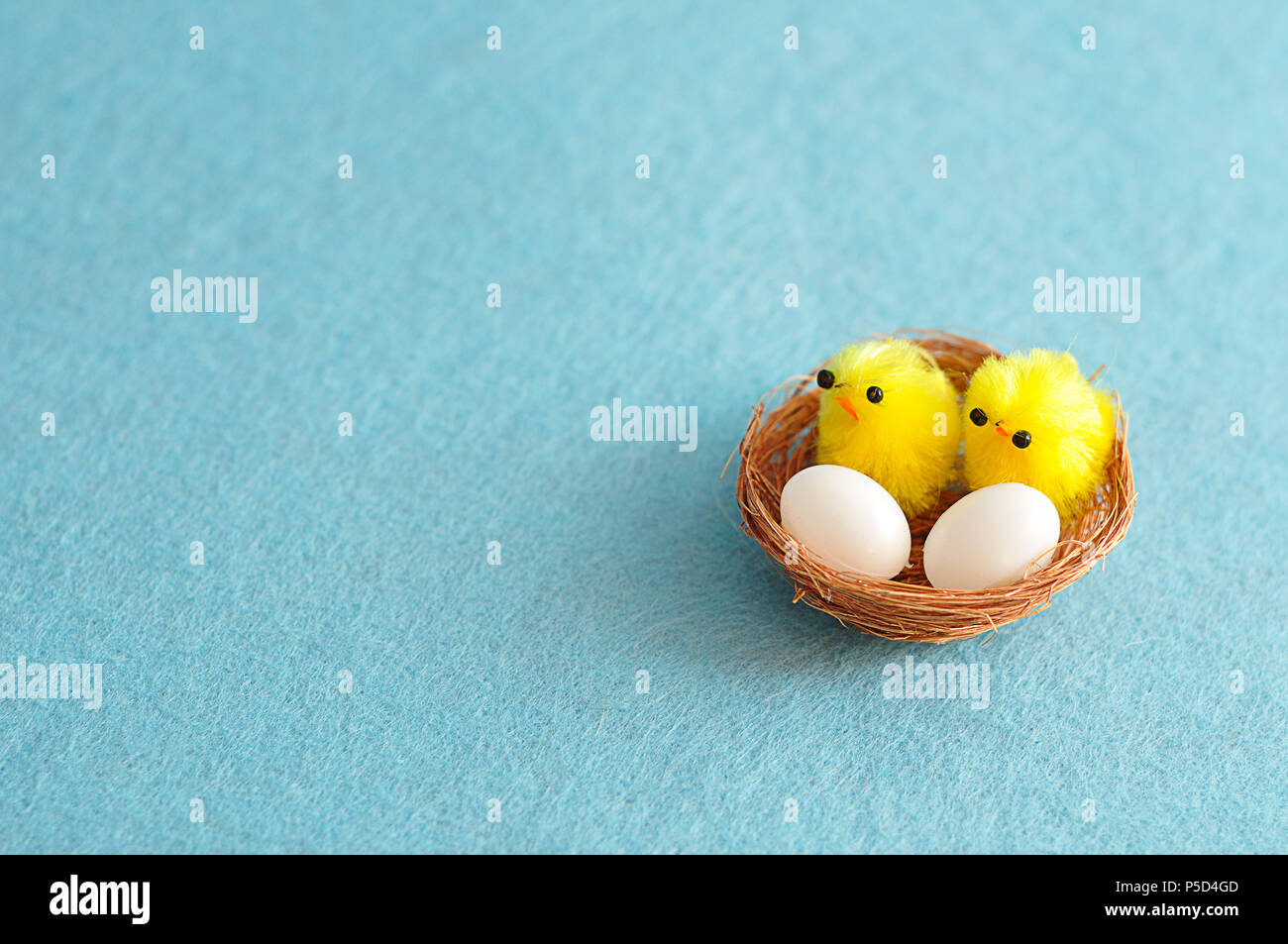 Two baby chicks on eggs hi-res stock photography and images - Alamy