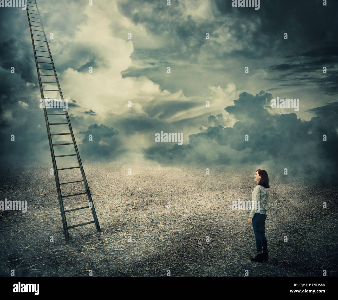 Ladder Metaphor Stock Photos & Ladder Metaphor Stock Images - Alamy