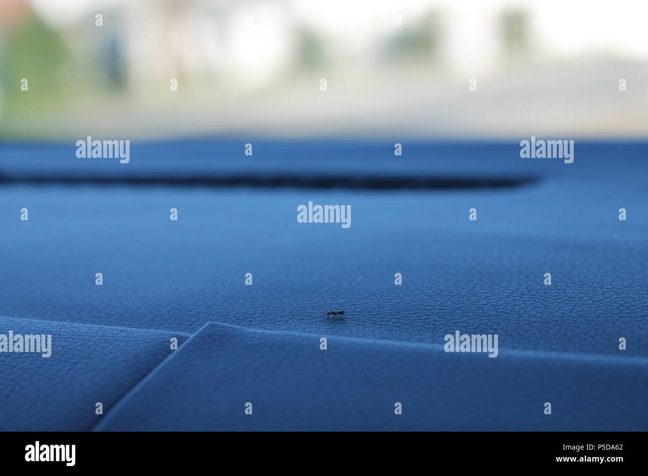 Ant car hi-res stock photography and images - Alamy