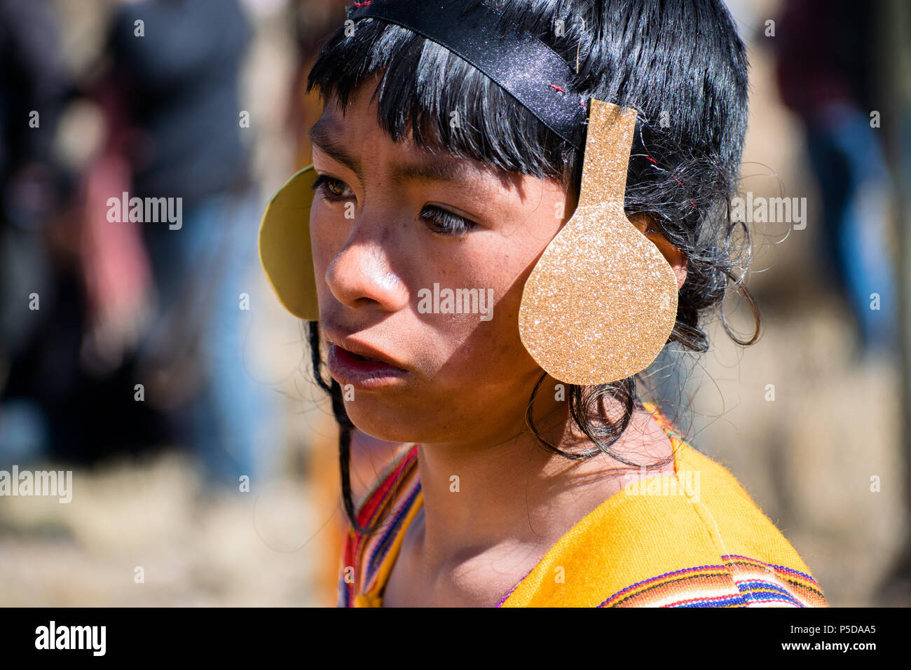 Fiesta tradicional del chacu en Pampas Galeras La vicuña es una especie ...