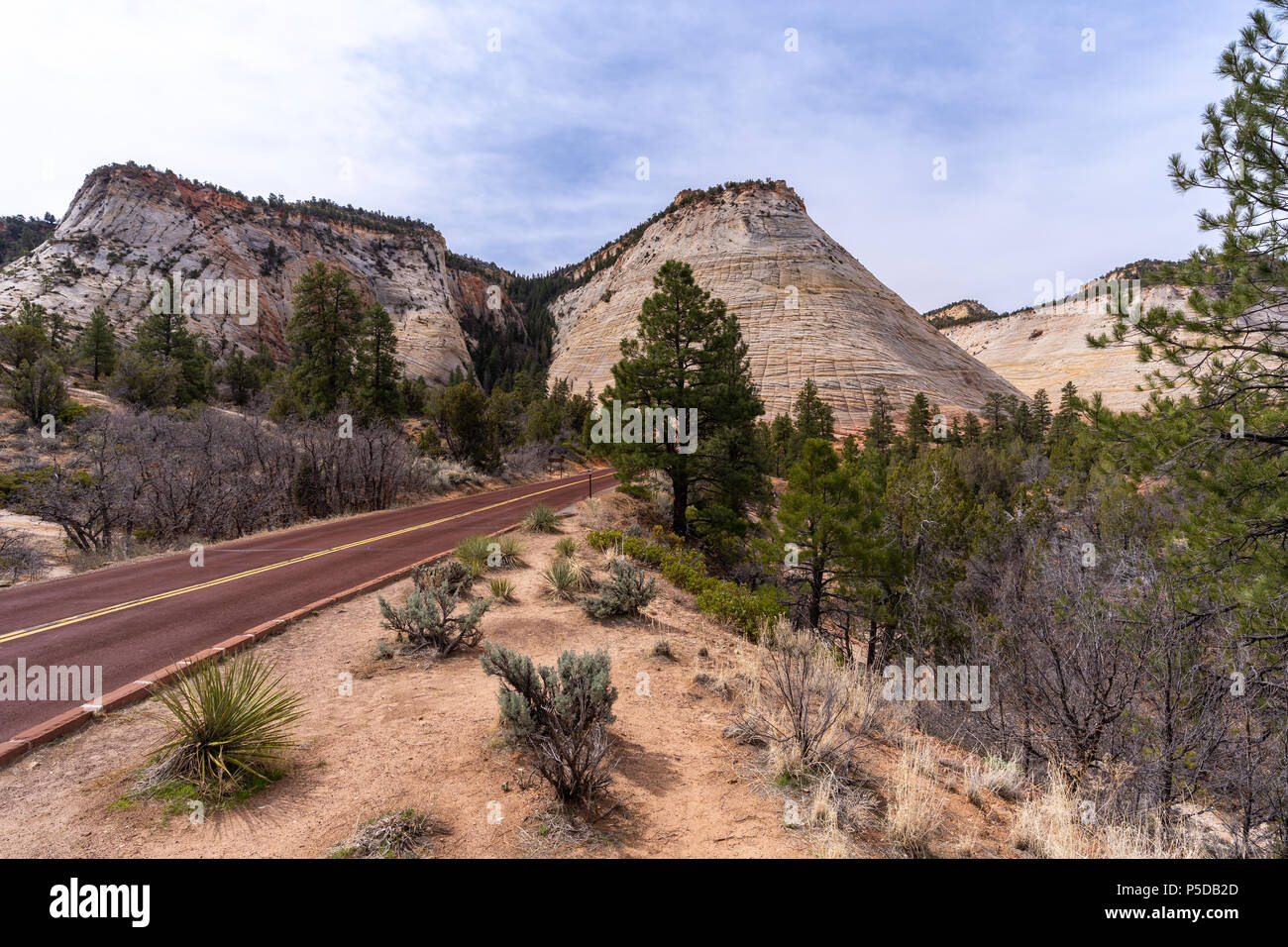 Checkerboard Mesa at Zion national park in Zion, Utah USA Stock Photo ...