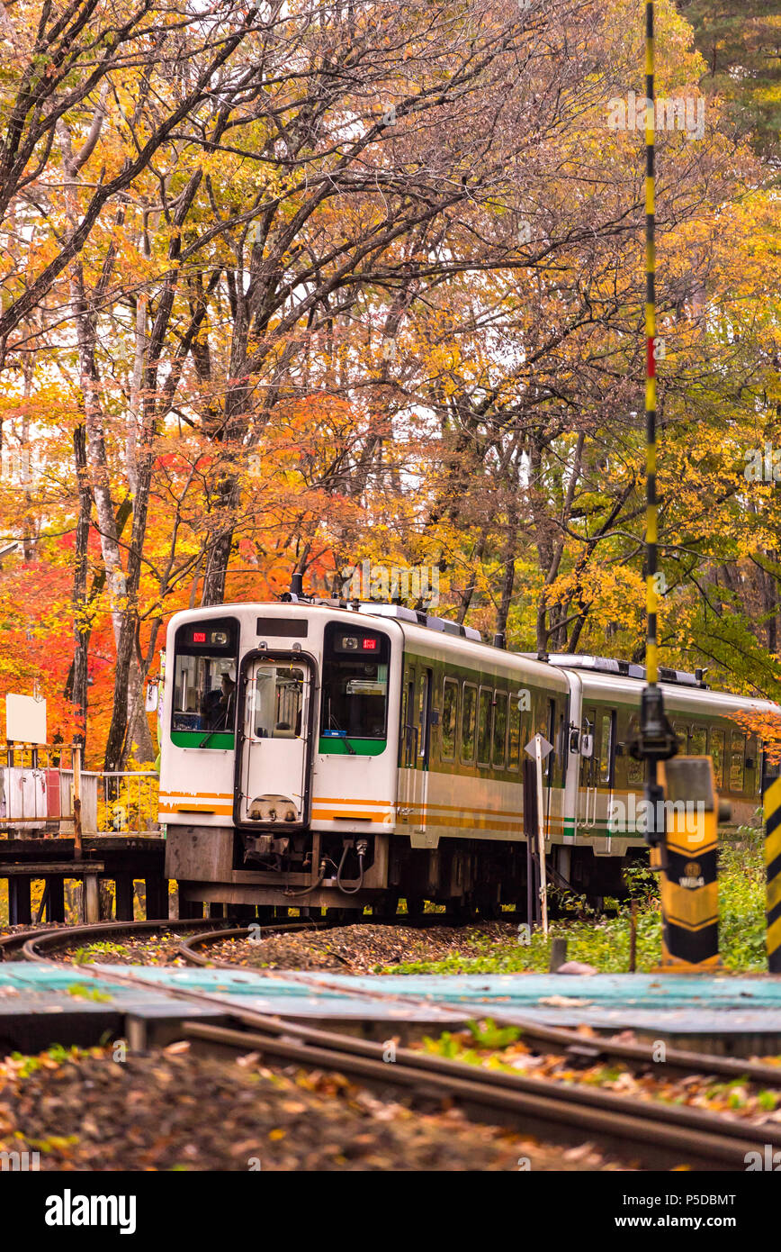 Autumn fall foliage with white train commuter in Fukushima Japan Stock ...