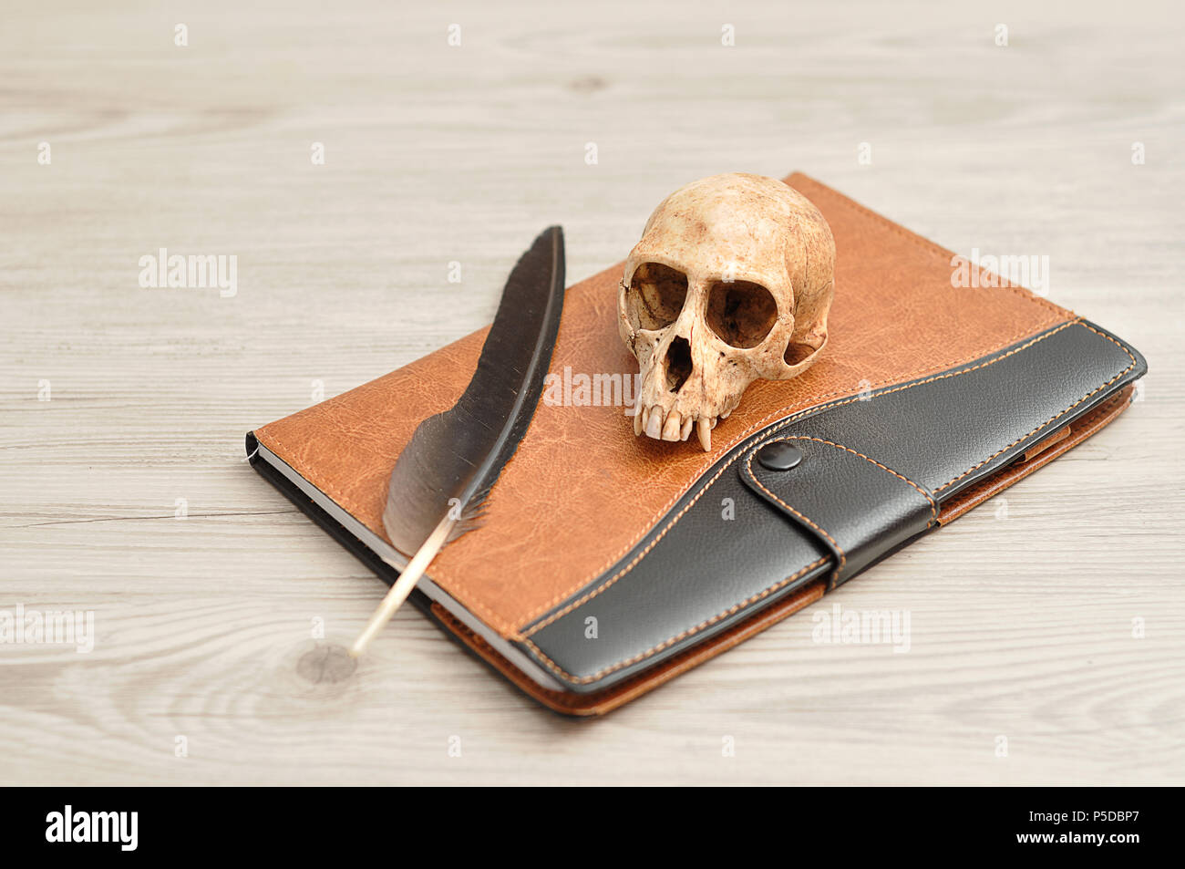 Skeleton writing hi-res stock photography and images - Alamy