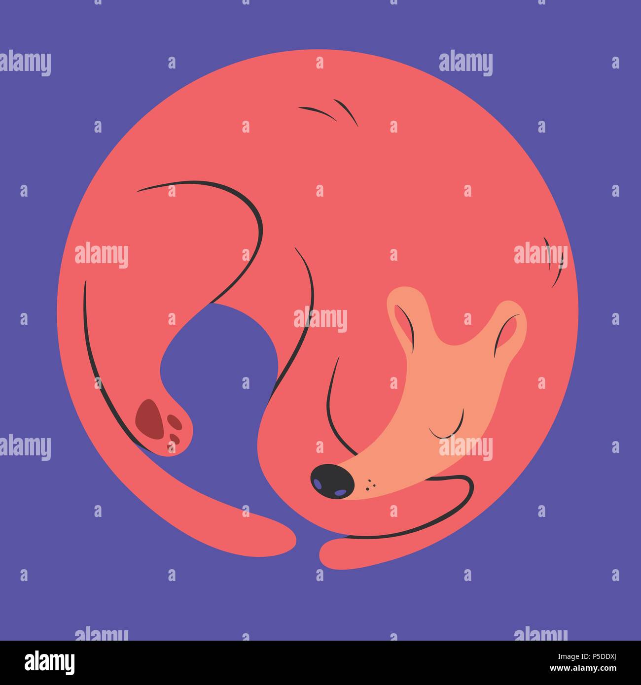 Sleepy Curled Dog Stock Vector Image & Art - Alamy
