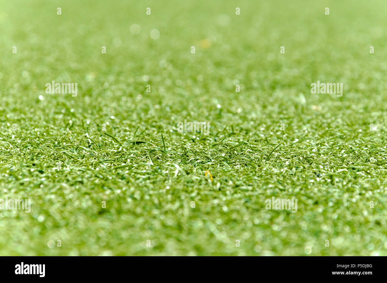 Football lawn, grass foreground. Soccer closeup detail wallpaper ...
