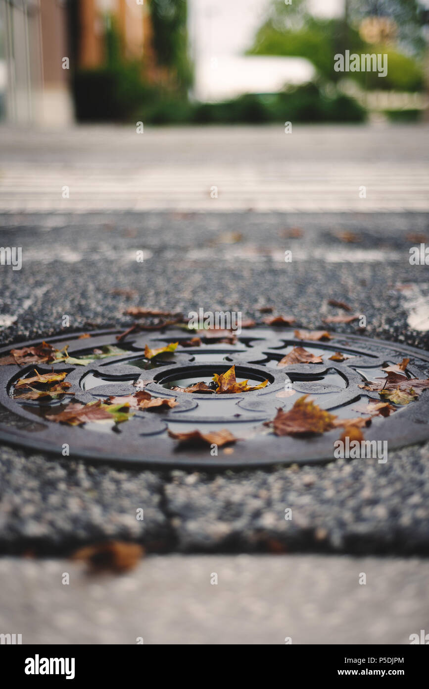 manhole in the street after a storm Stock Photo - Alamy