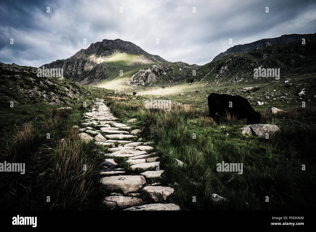 Mountains in Snowdonia during a morning of dramatic weather Stock Photo ...
