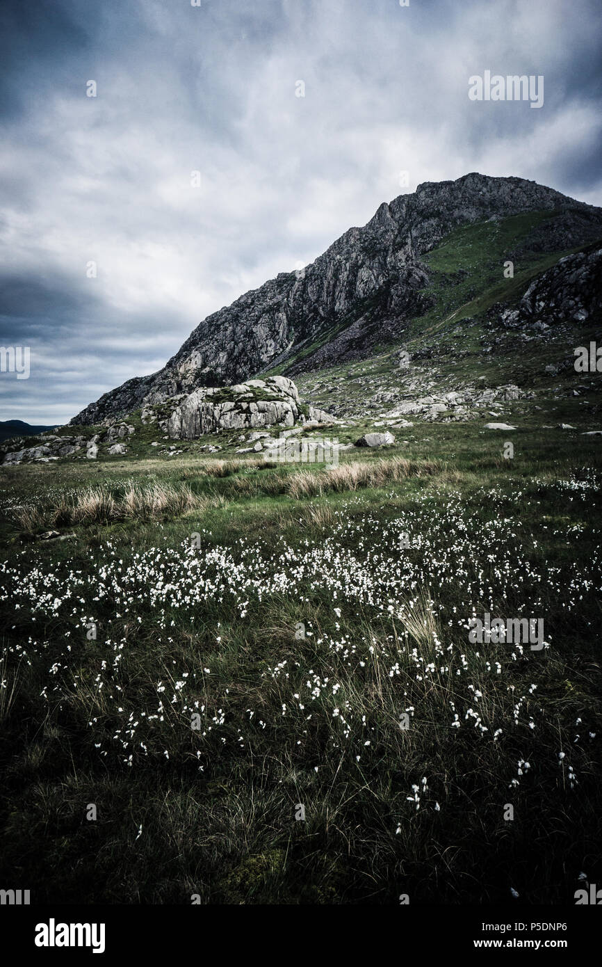 Mountains in Snowdonia during a morning of dramatic weather Stock Photo ...