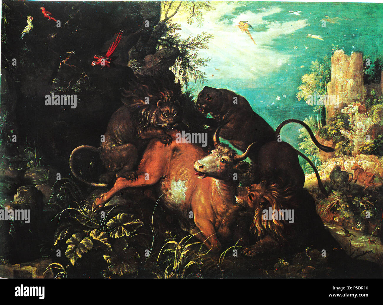 Roelant savery hi-res stock photography and images - Alamy