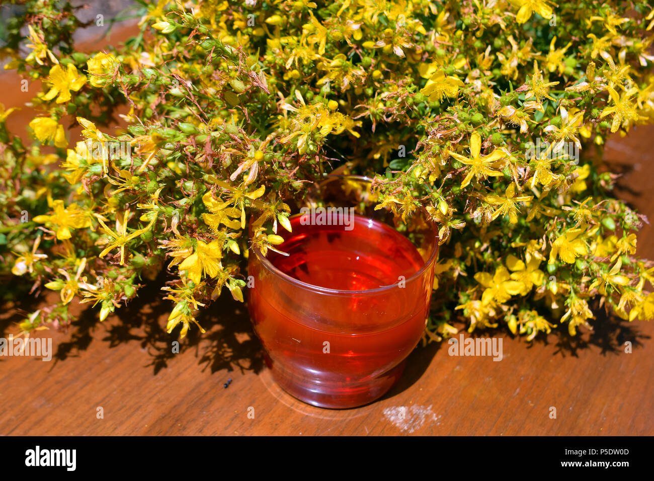 hypericum perforatum and cantarion oil Stock Photo - Alamy