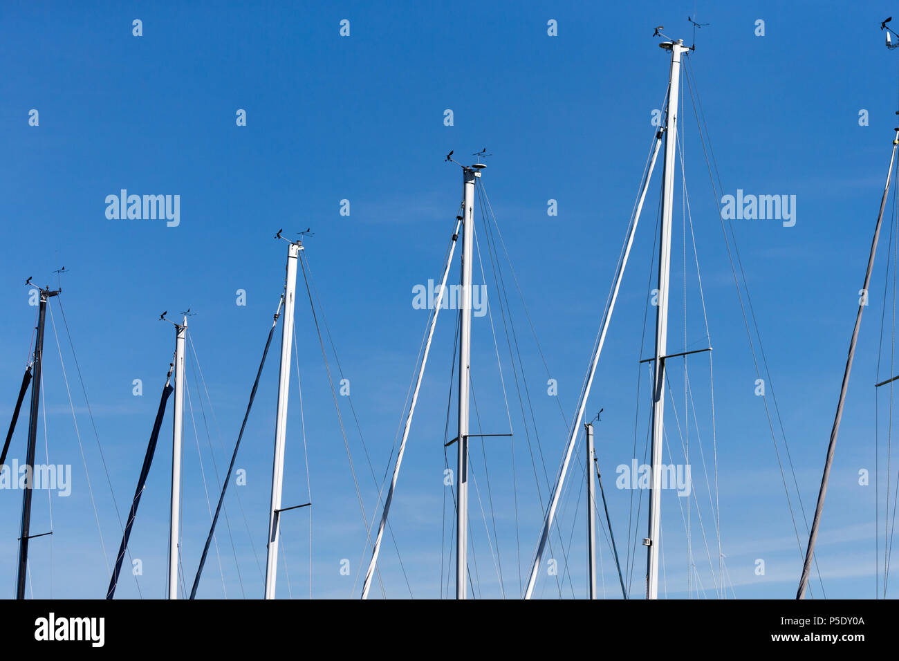 A row of luxury yacht masts at a marina Stock Photo - Alamy