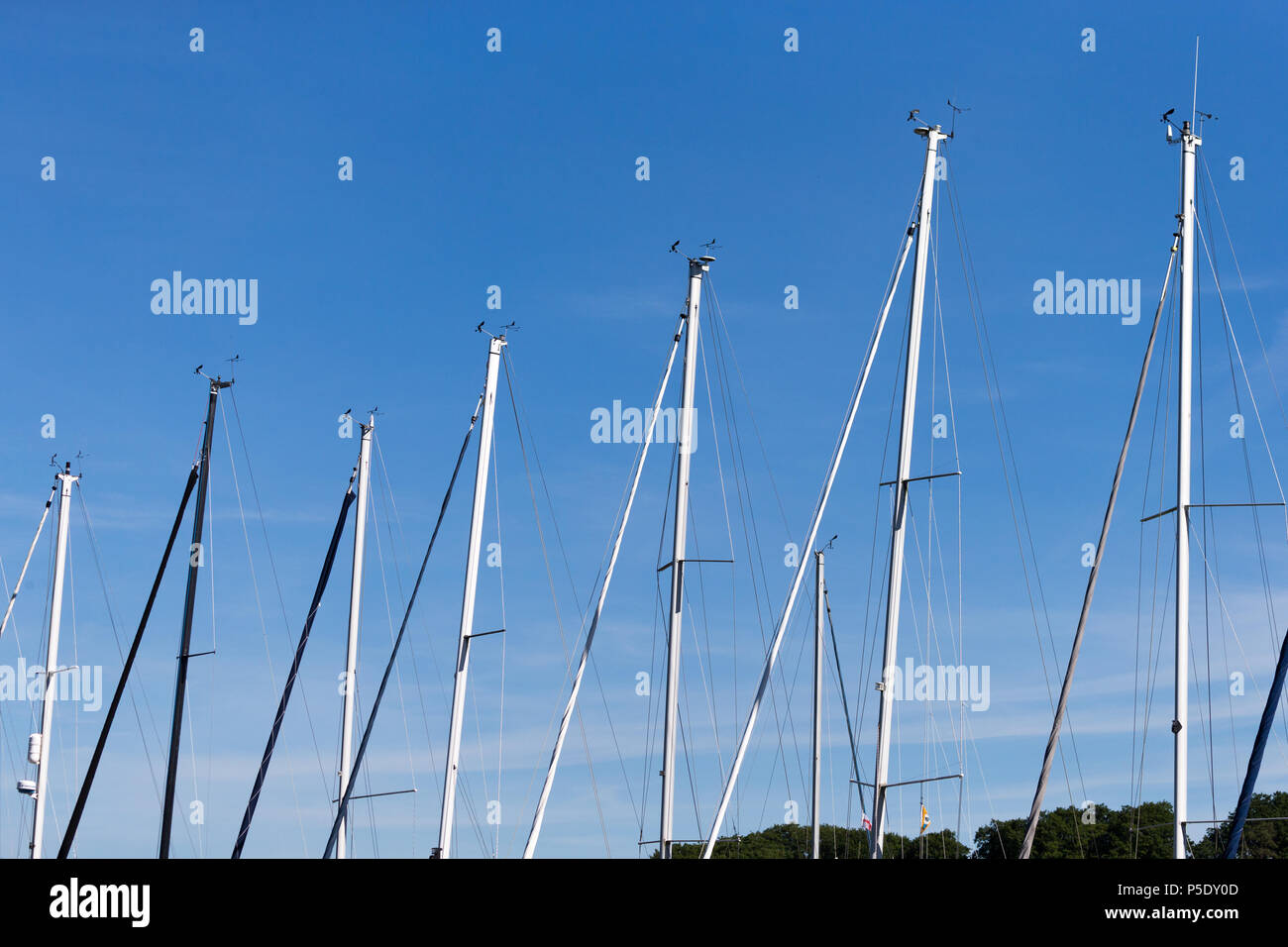 A row of luxury yacht masts at a marina Stock Photo - Alamy