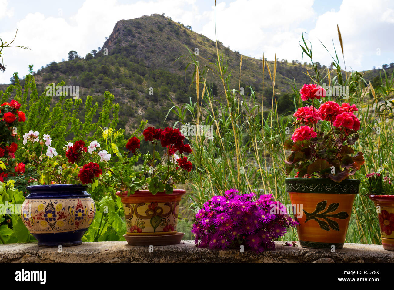 Painted terracotta flower pots hi-res stock photography and images - Alamy