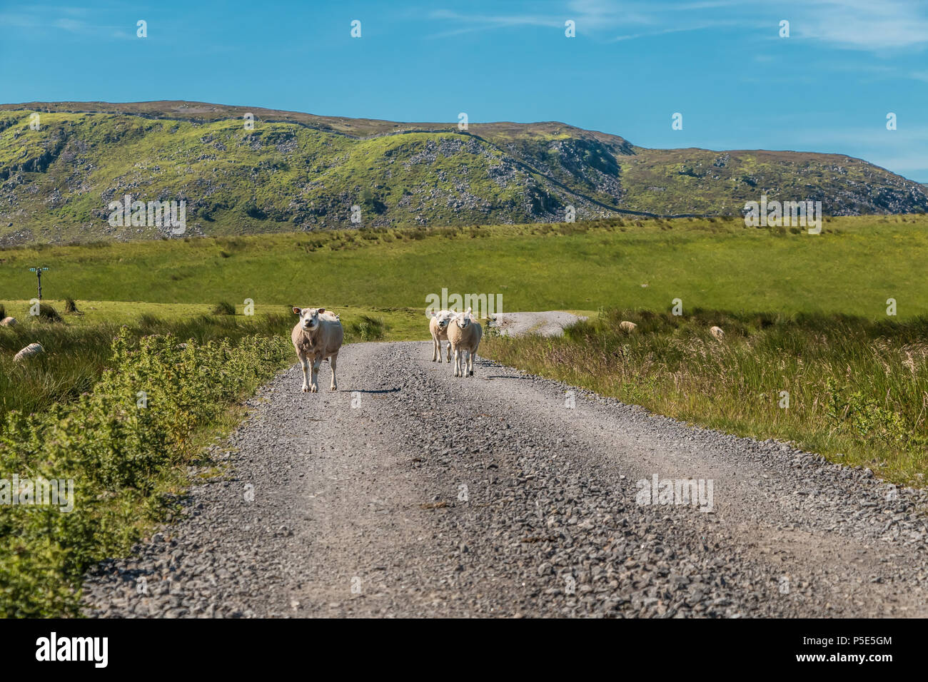 Cronkley scar hi-res stock photography and images - Alamy