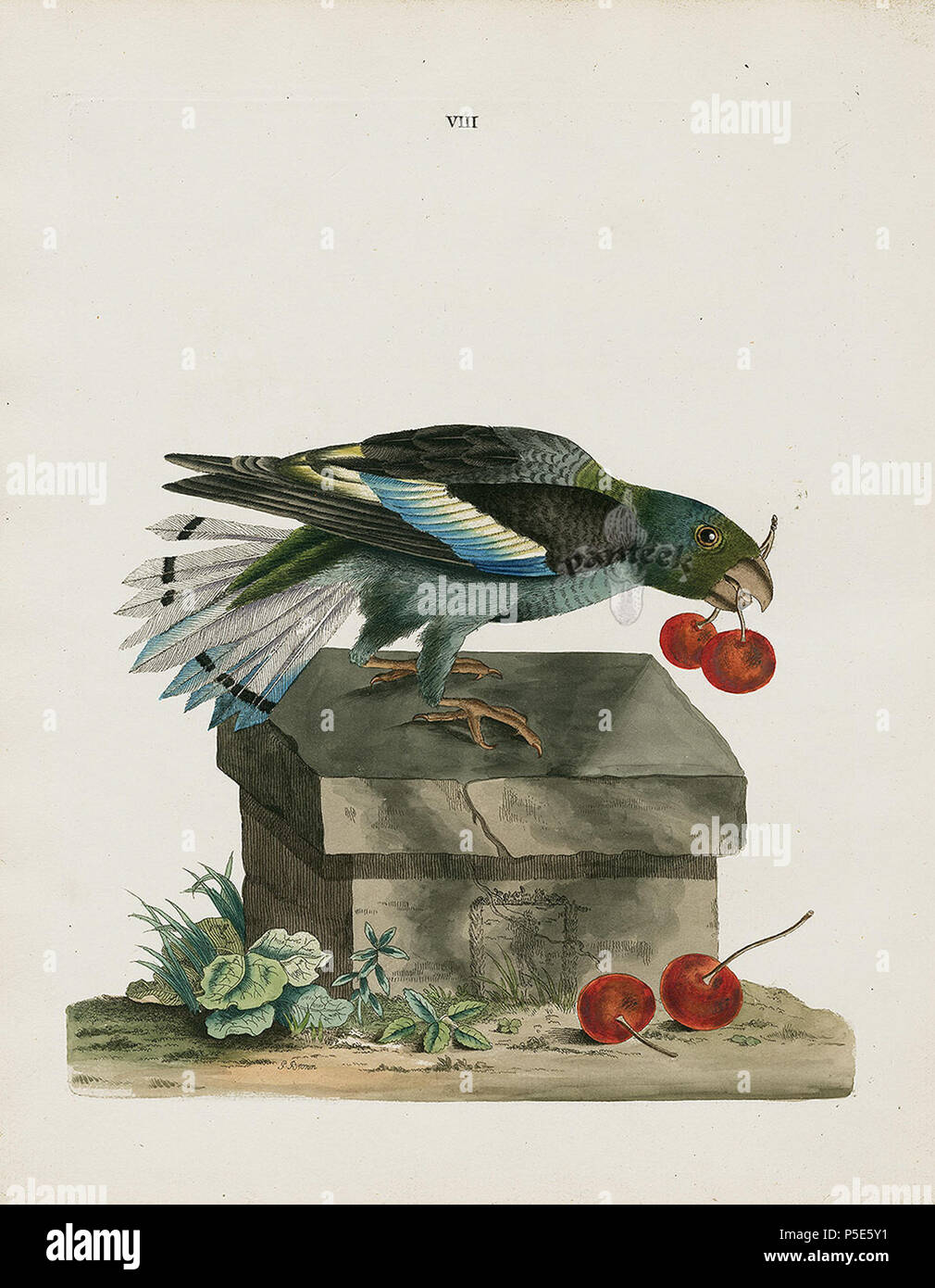 Peter Brown Actor Summer Magic