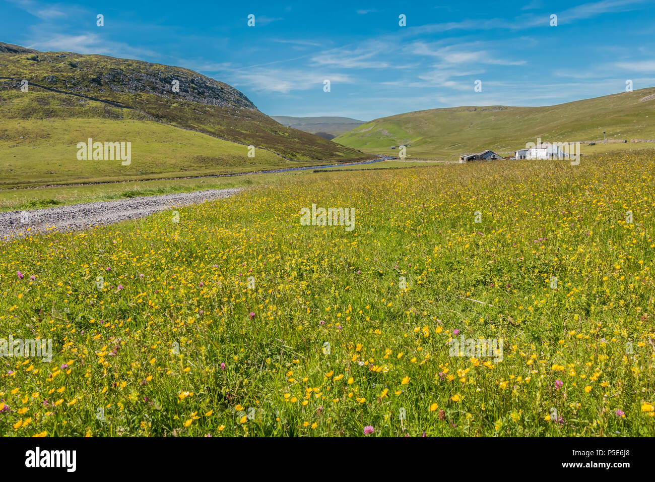 North Pennines AONB landscape, Hay Meadows and Widdybank Farm from the ...