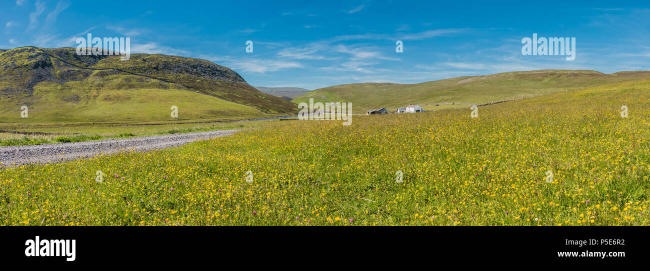 Hay meadow pennine hi-res stock photography and images - Alamy