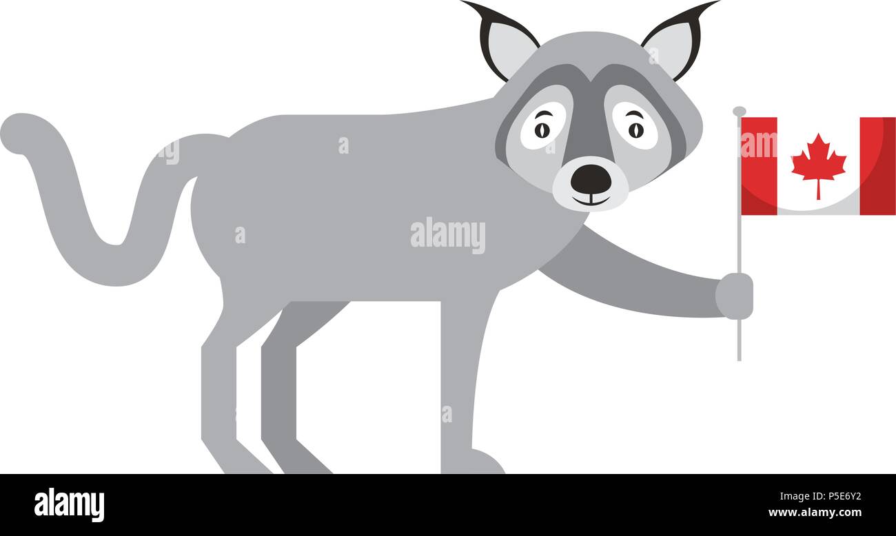 wolf holding canadian flag character vector illustration Stock Vector ...