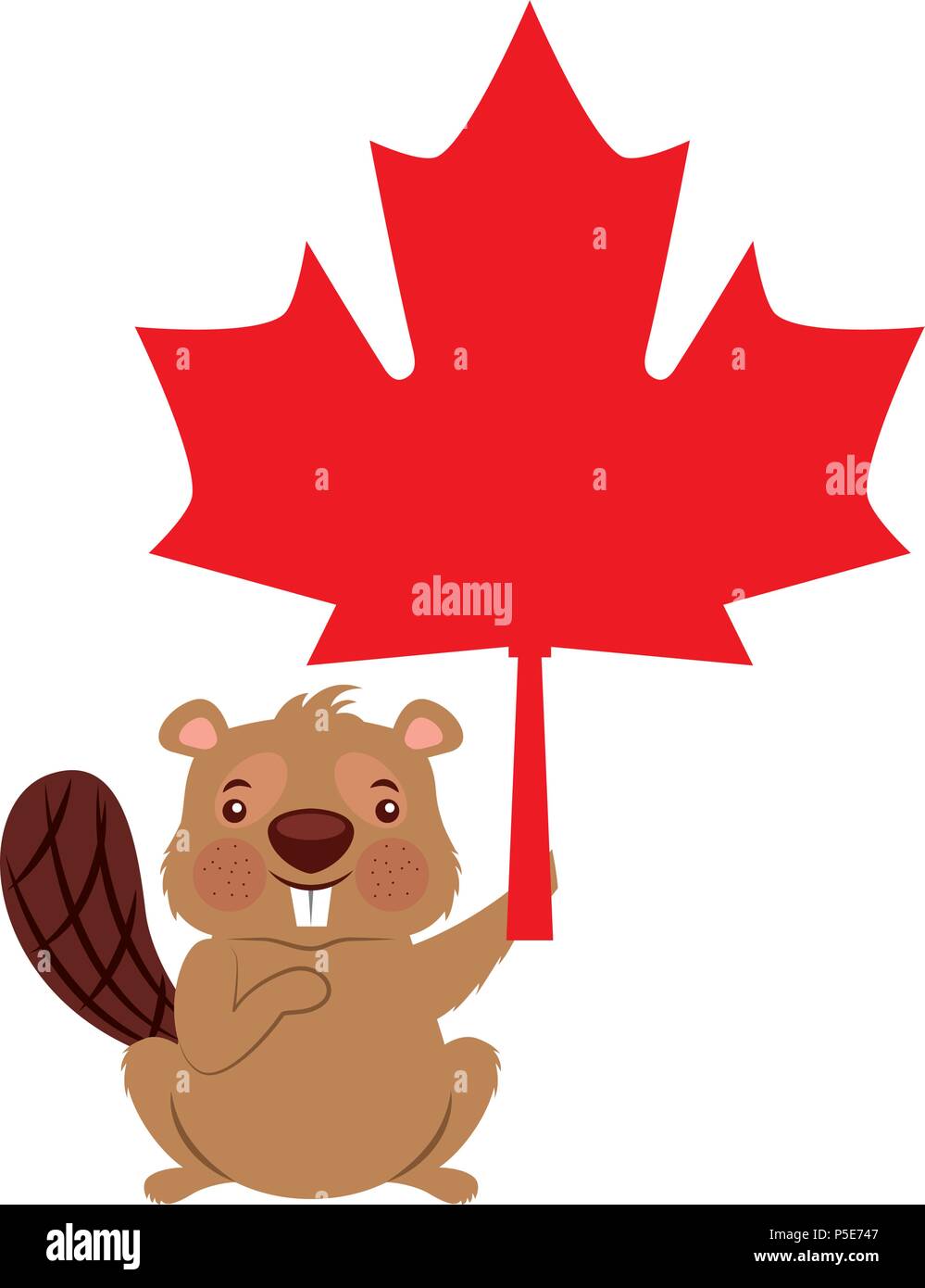 cute beaver cartoon holding maple leaf vector illustration Stock Vector ...