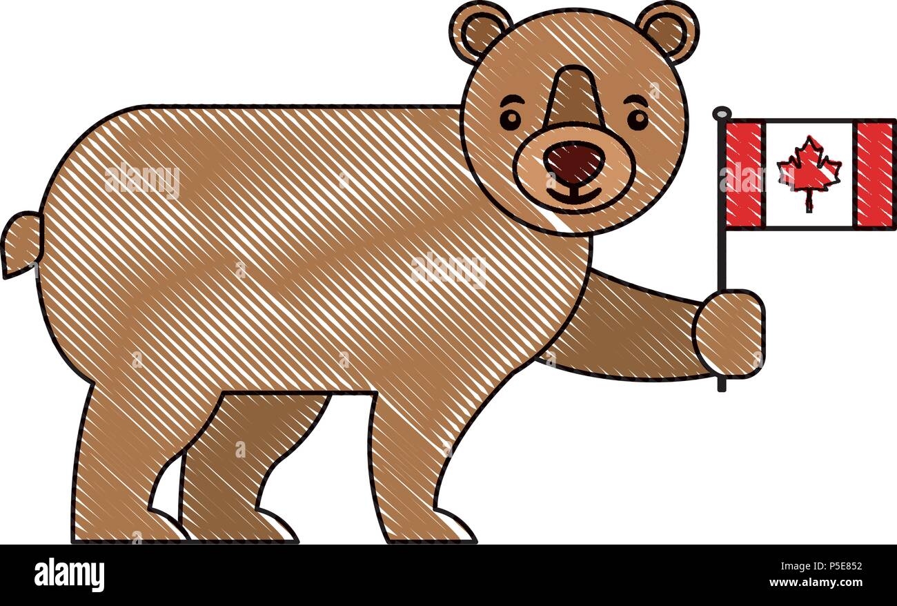 wild bear grizzly with flag canadian vector illustration design Stock ...