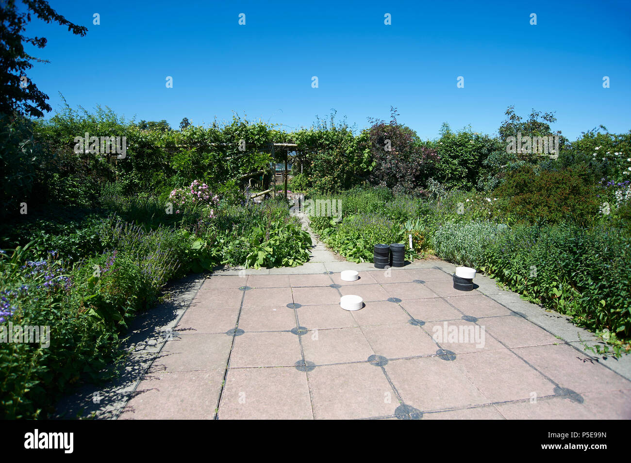 Old checker set hi-res stock photography and images - Alamy