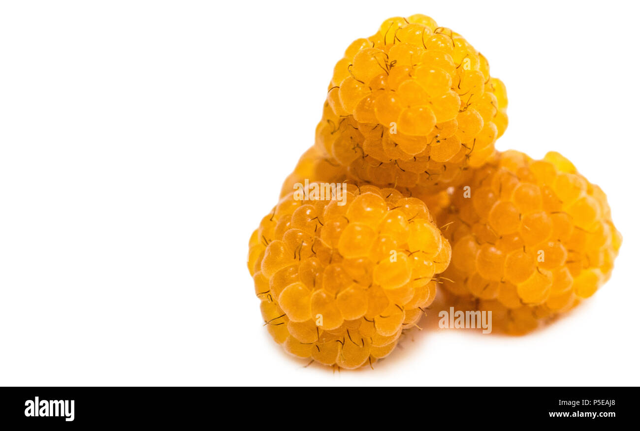 yellow raspberries with leaf isolated on white background macro Stock ...