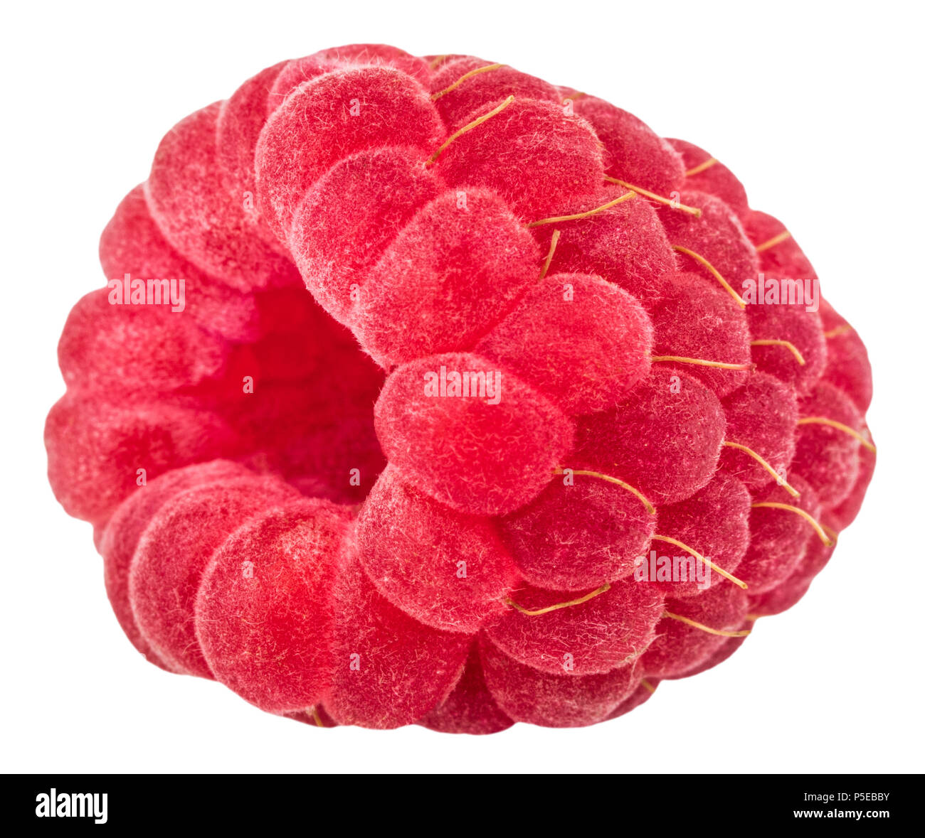 isolated berry. One fresh raspberry fruit isolated on white background ...