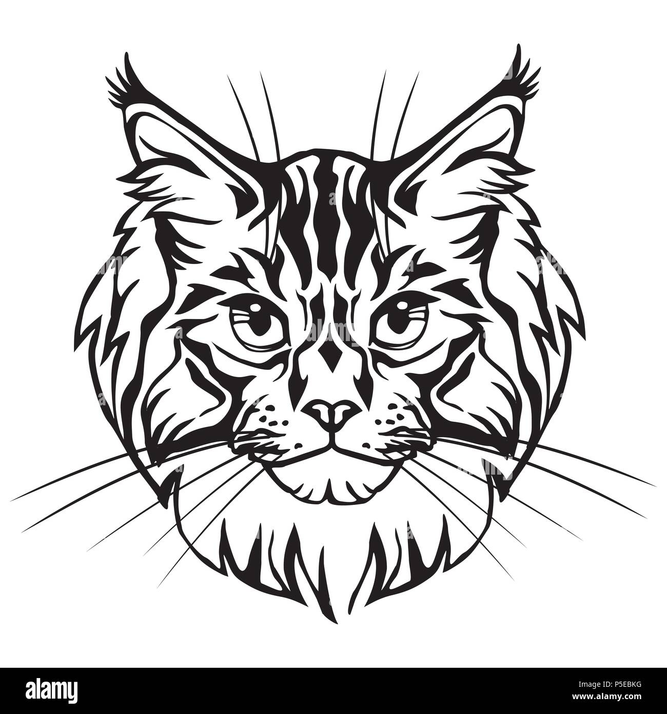 Decorative portrait in profile of Maine Coon Cat, vector isolated ...