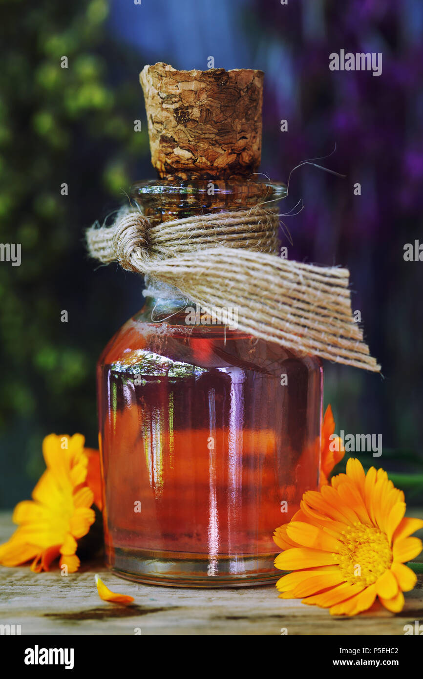 Calendula plant hi-res stock photography and images - Alamy