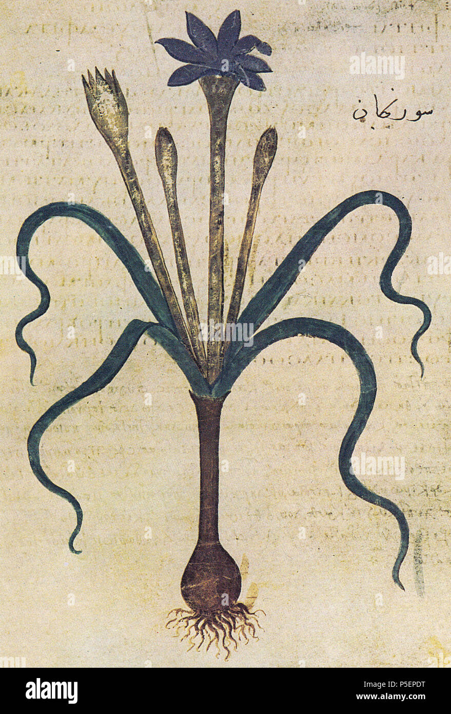 6th century n a hi-res stock photography and images - Alamy