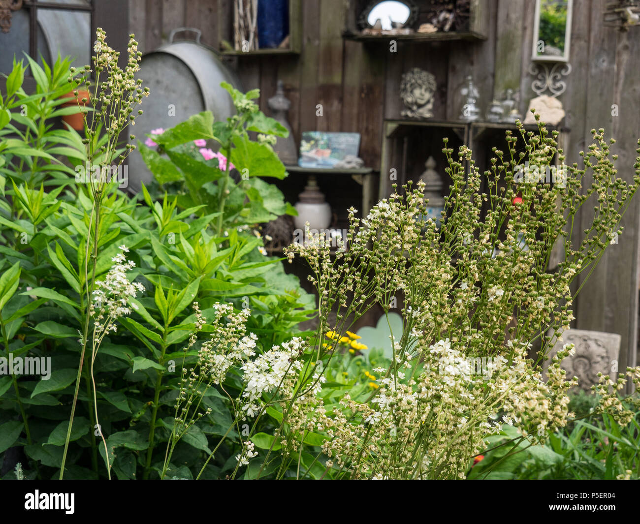 beautiful garden in germany Stock Photo - Alamy