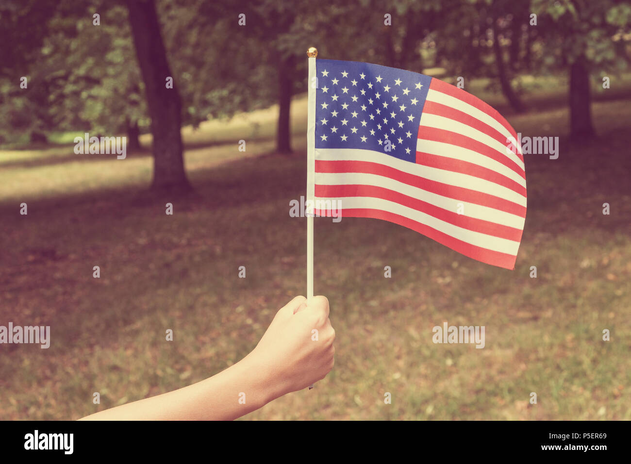 Child waving US flag on the park background. Filtered image Stock Photo ...