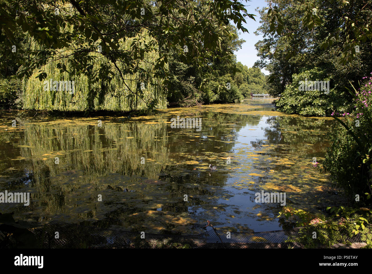 30 degrees celsius hi-res stock photography and images - Alamy