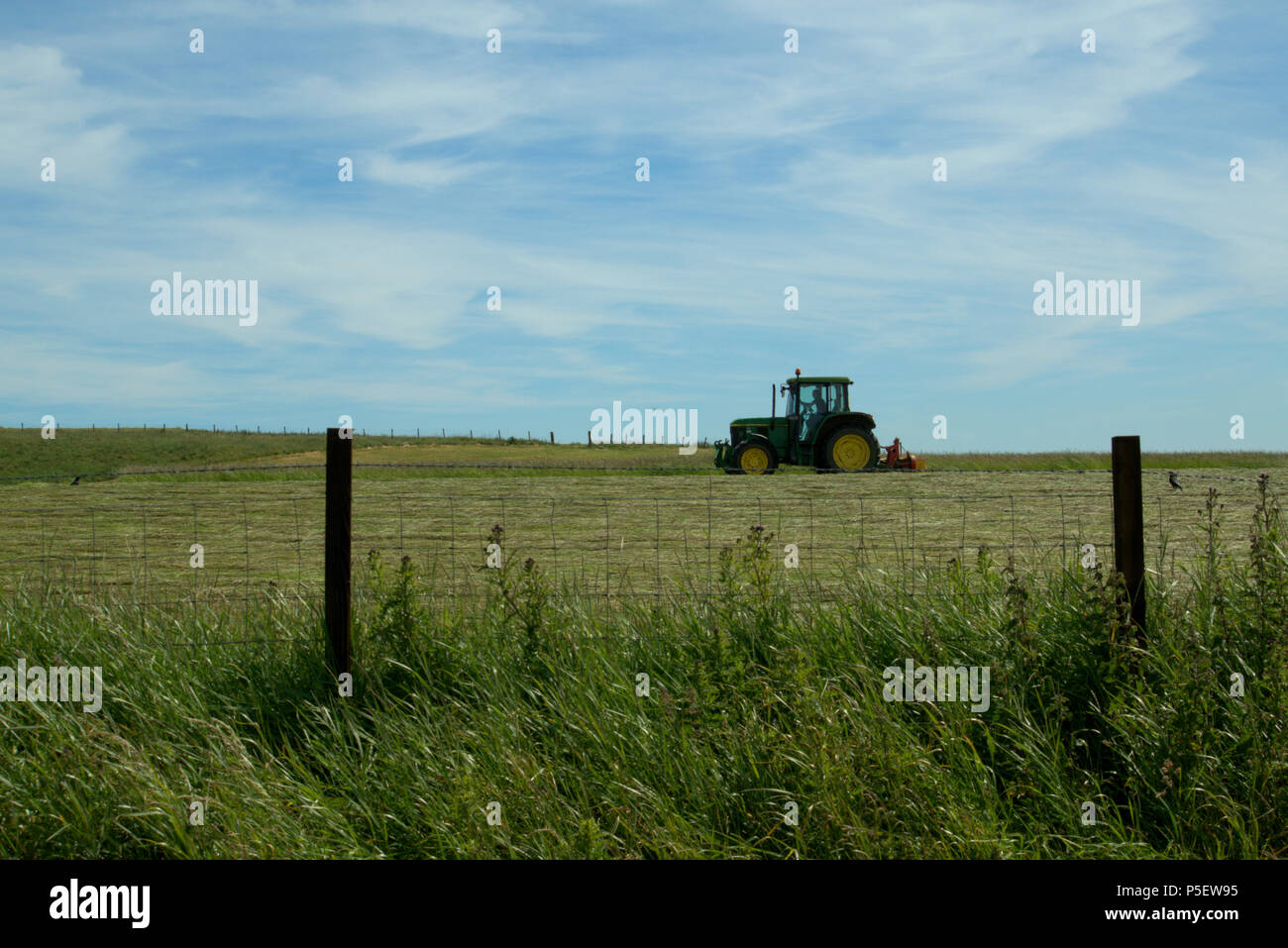 Tractor cutting silage Stock Photo - Alamy