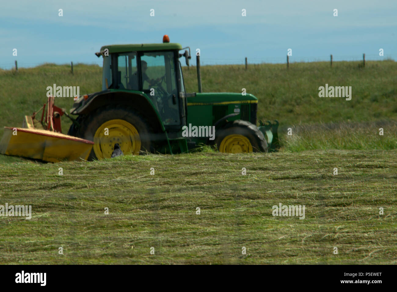 Tractor cutting silage Stock Photo - Alamy