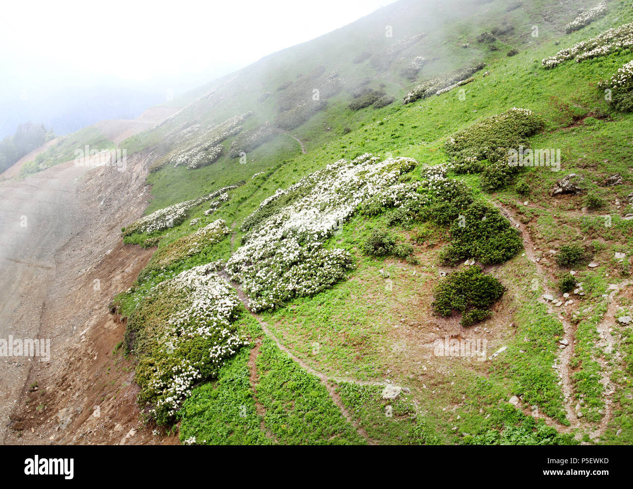 Photo of beautiful mountains in spring with cloudiness Stock Photo - Alamy