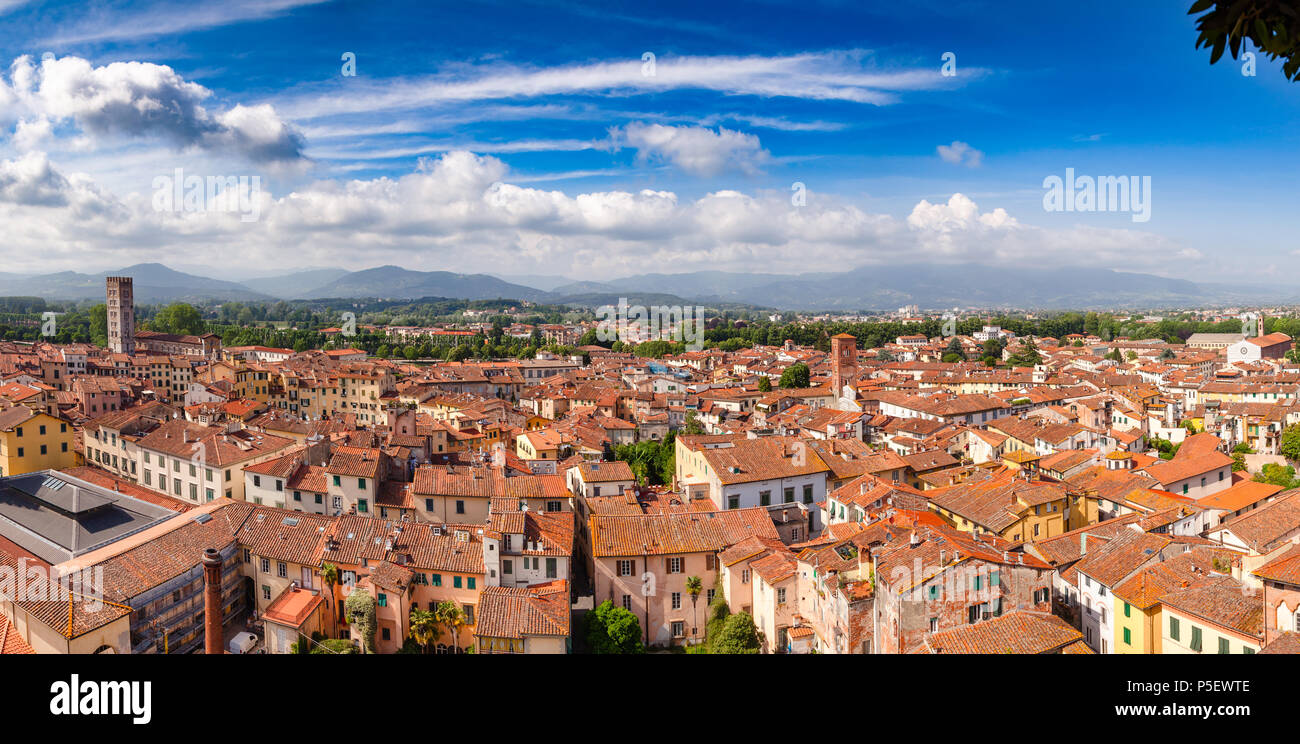 Panoramic aerial view of Lucca old town with terracotta roof buildings ...