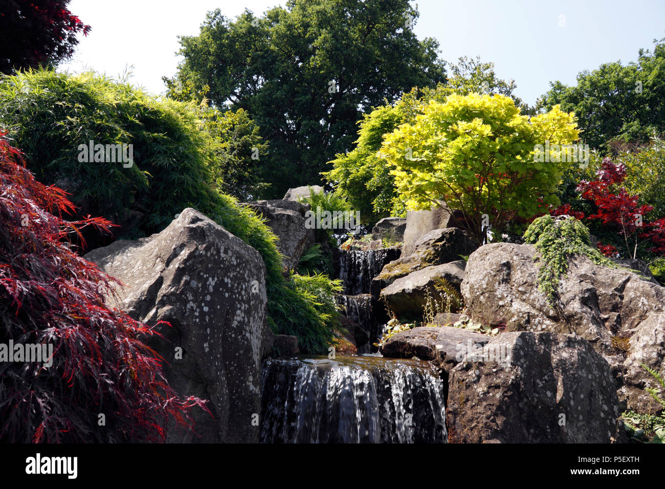 Water feature wisley gardens hi-res stock photography and images - Alamy