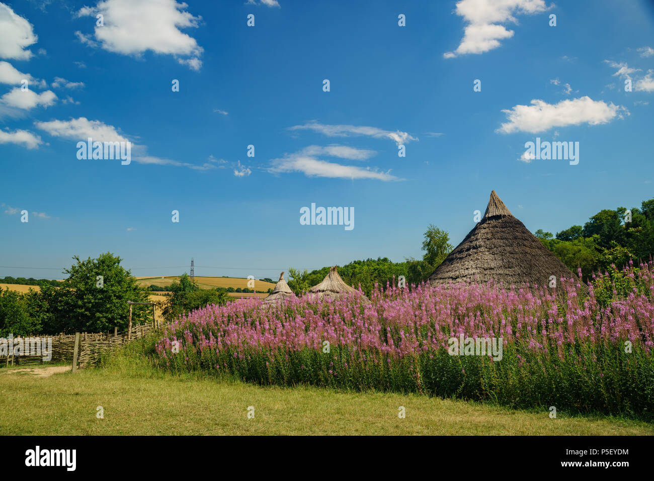 The educational Butser Ancient Farm at Waterlooville, United Kingdom ...