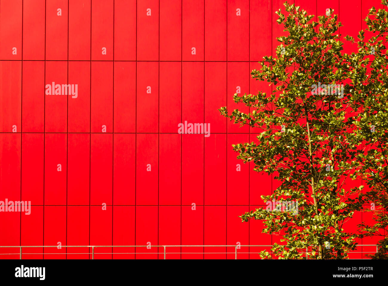 red wall of a modern building and green tree on one side Stock Photo ...