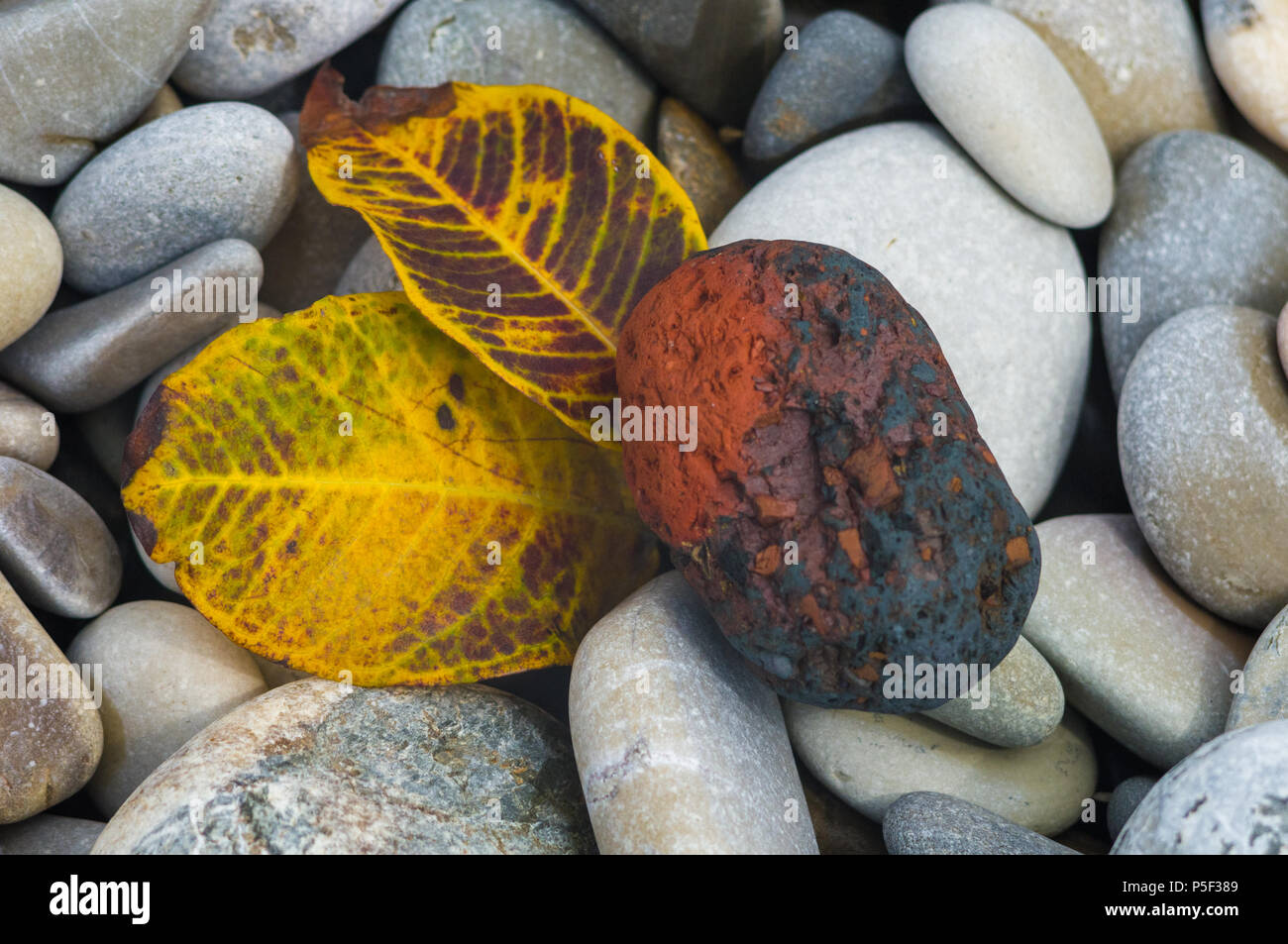 boulders and colorful pebbles on the beach on a warm summer day Stock ...