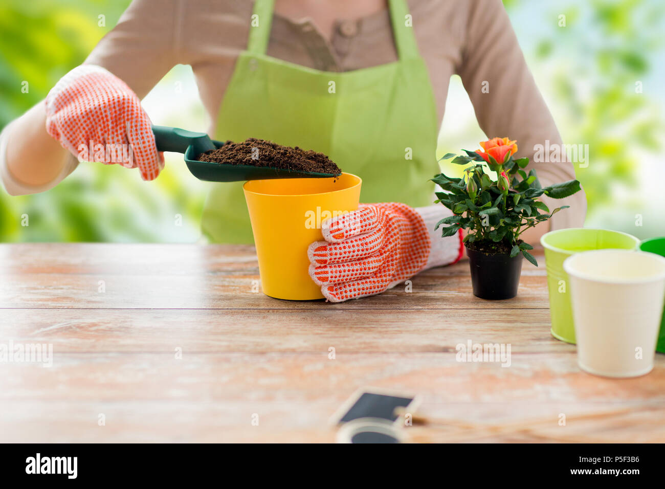 Close up planting flower hi-res stock photography and images - Alamy