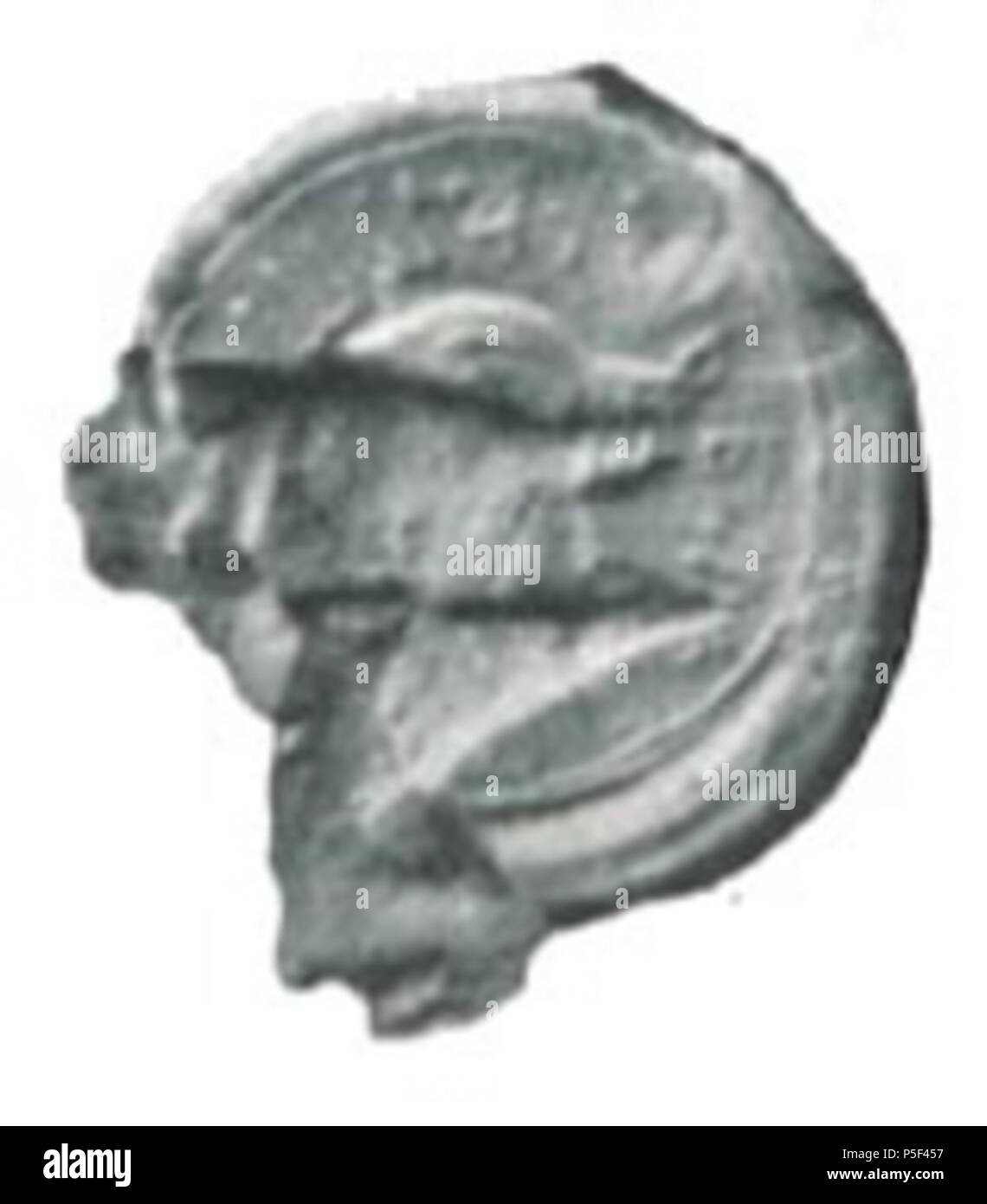 Medieval authentication hi-res stock photography and images - Alamy