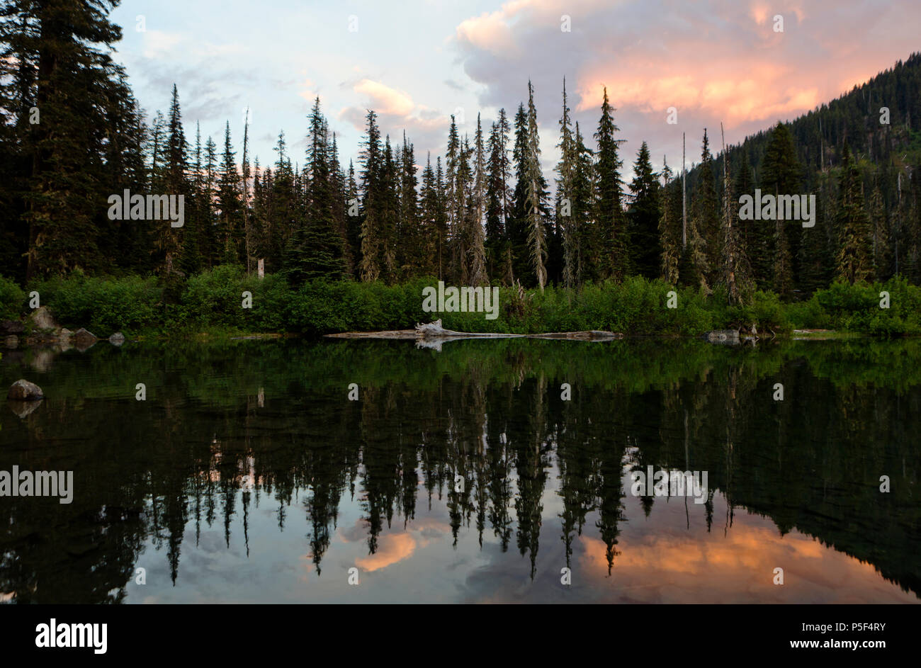 Moses lake fishing hi-res stock photography and images - Alamy